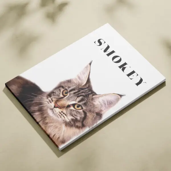 Furry Portrait – Canvas and Prints